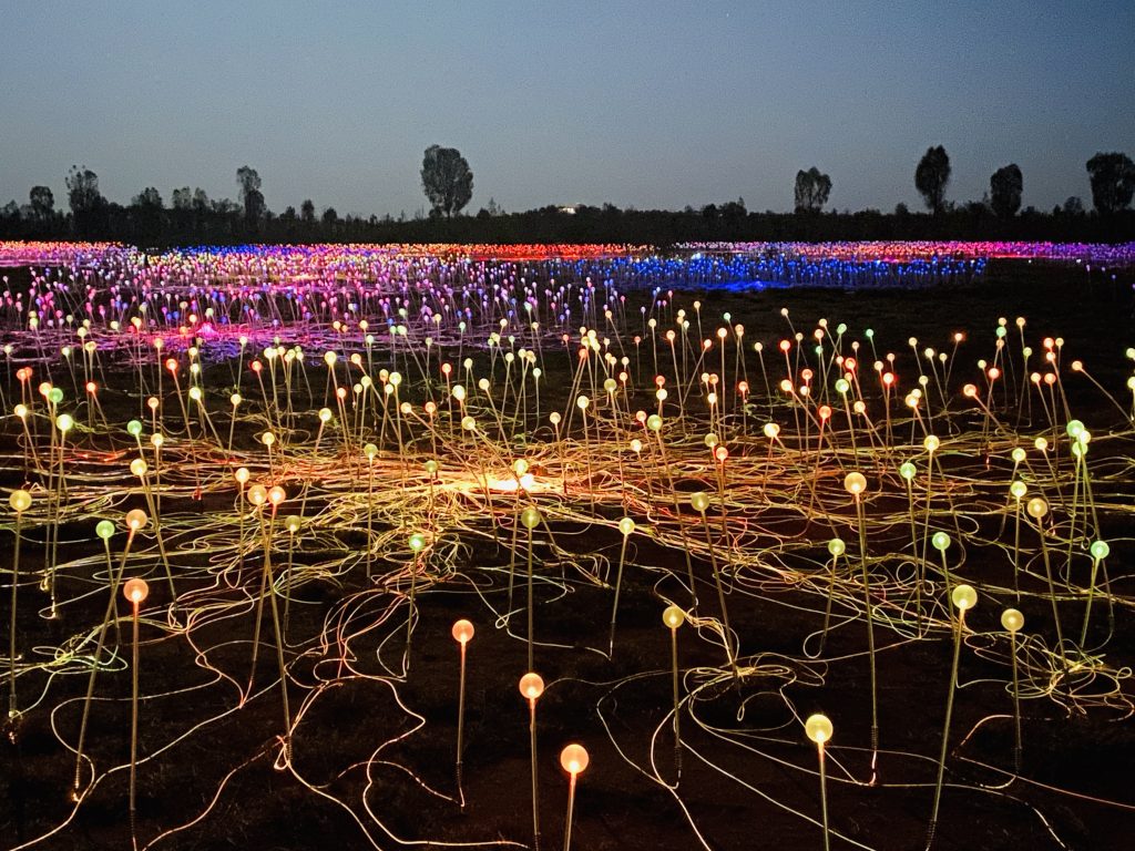 An Incredible Outback Light Show - Experiencing Uluru’s Field Of Light