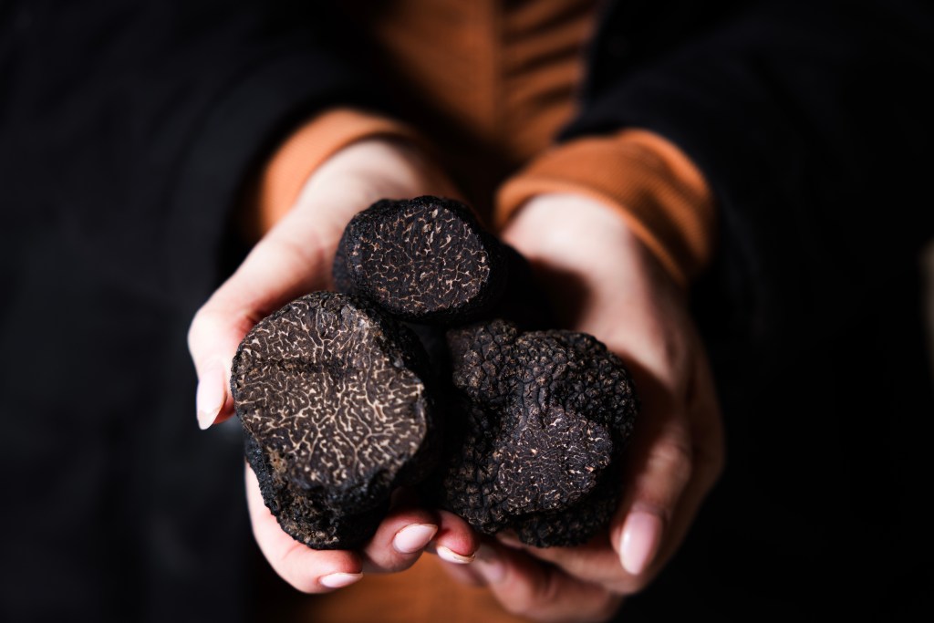 Canberra Truffle Season Guide: Top Places to Eat Truffles This Winter